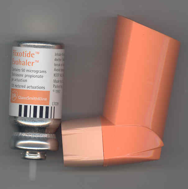 B023755123 | 藥品資訊 | 就醫指南 | 天主教耕莘醫療財團法人耕莘醫院